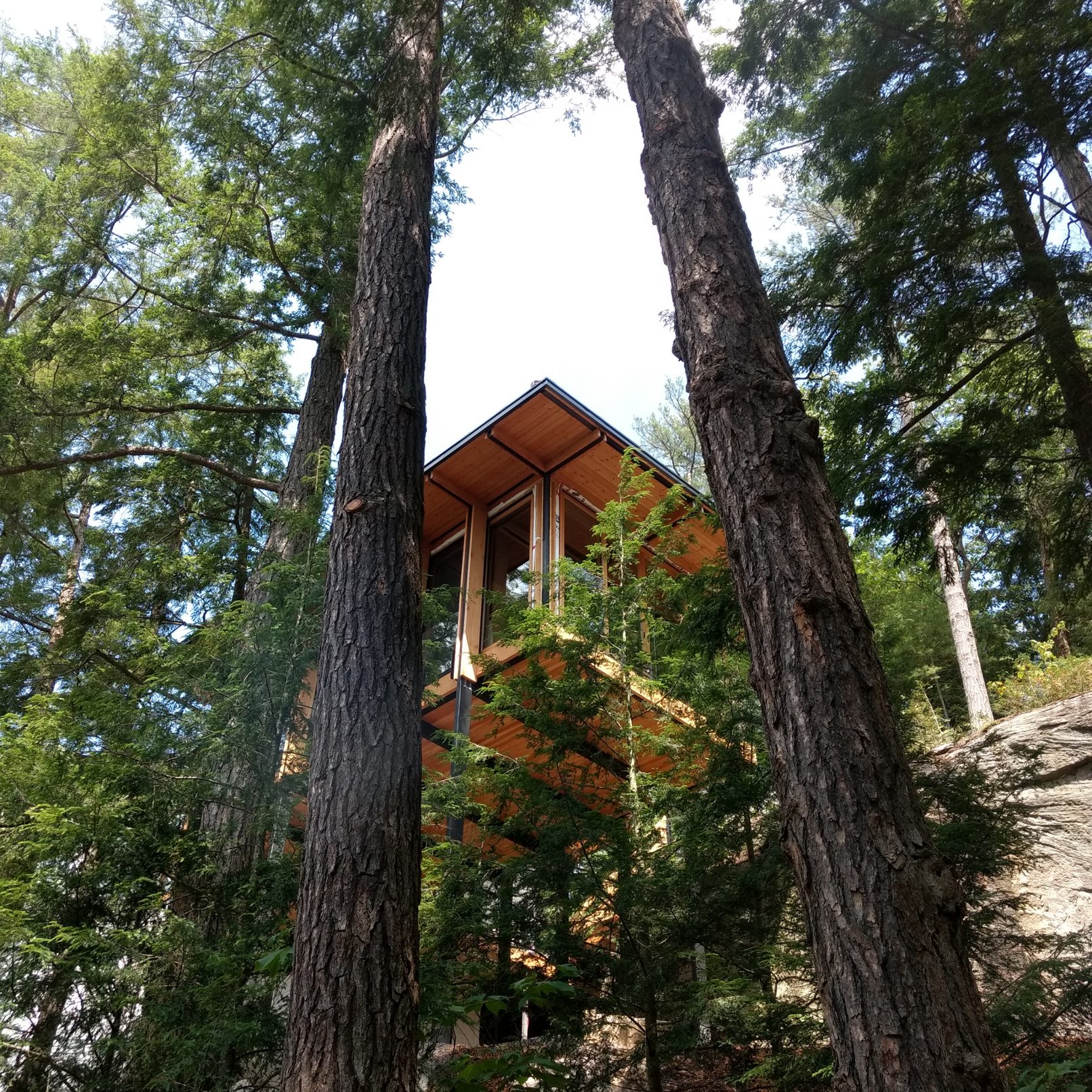 treehouse corner perspective - Trevor McIvor Architect Inc.